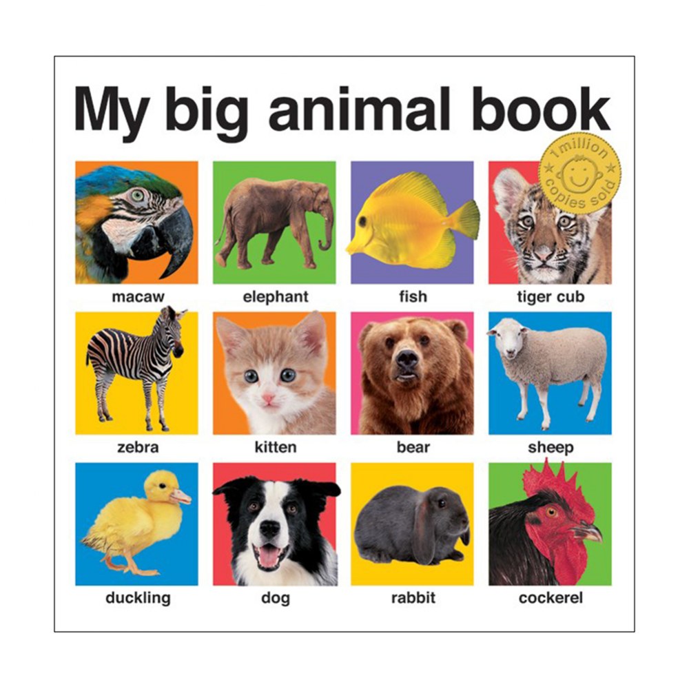 My Big Animal Book - Board Book