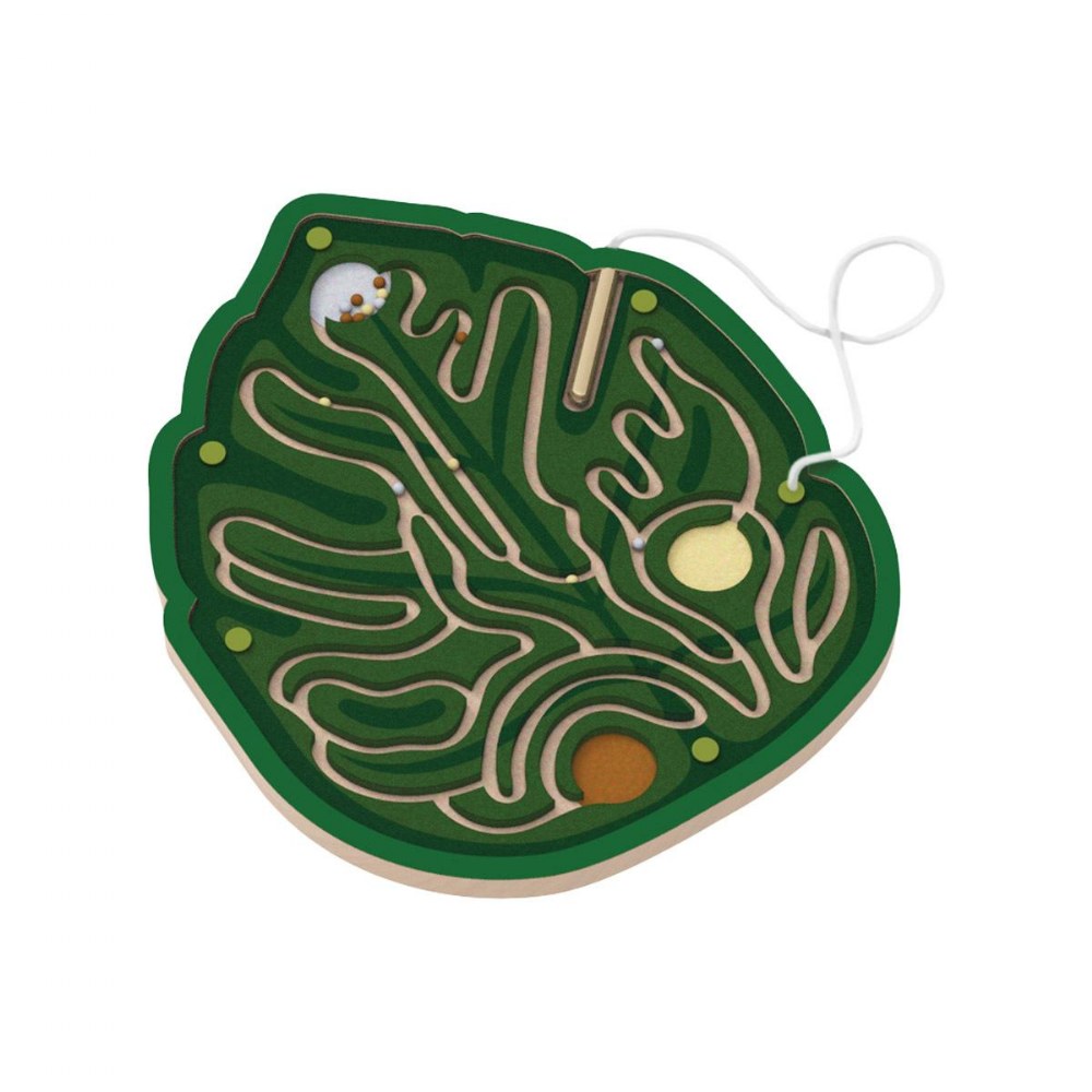 Nature's Paths Magnetic Leaf Mazes - Set of 3