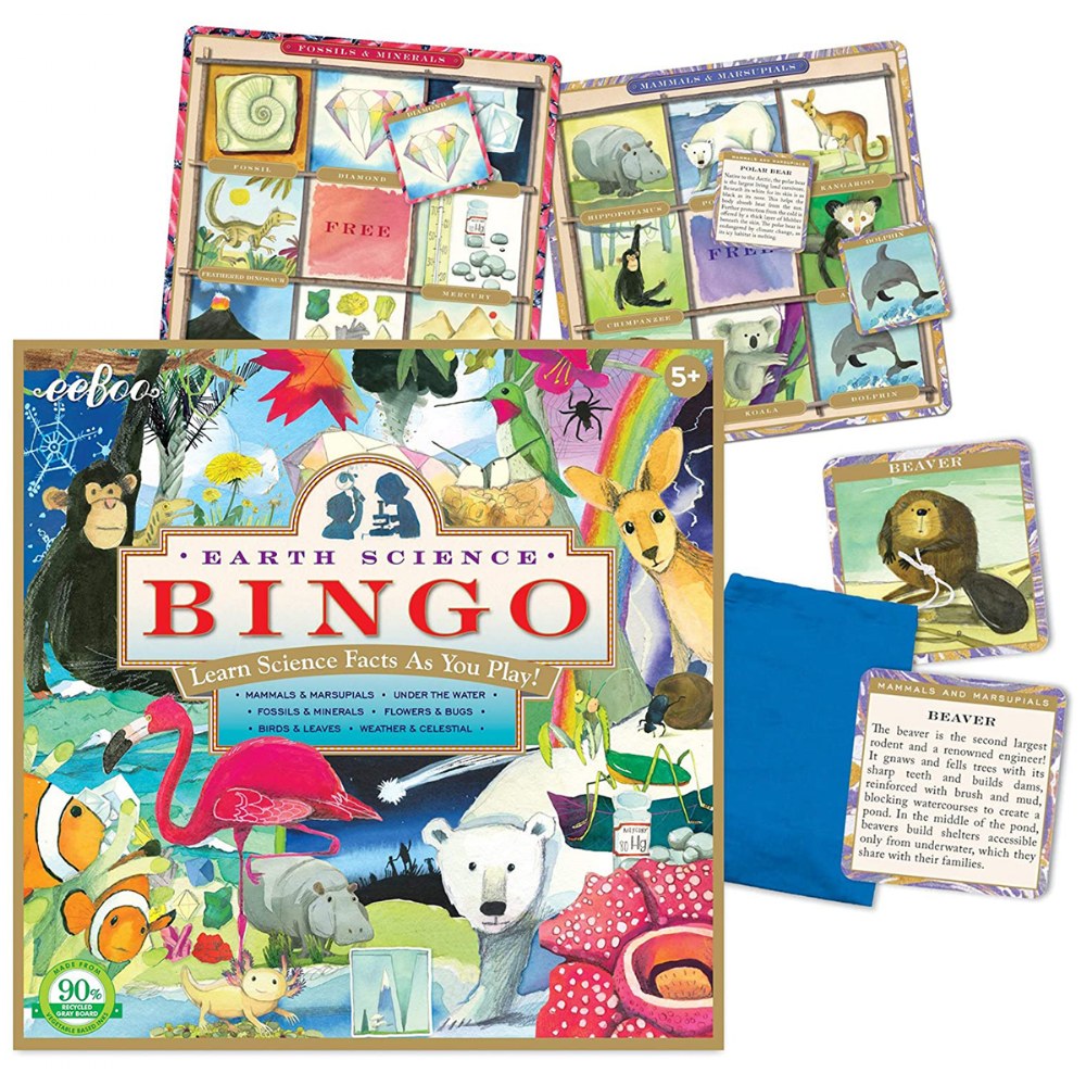 Earth Science BINGO Game for Collaborative Learning Through Play