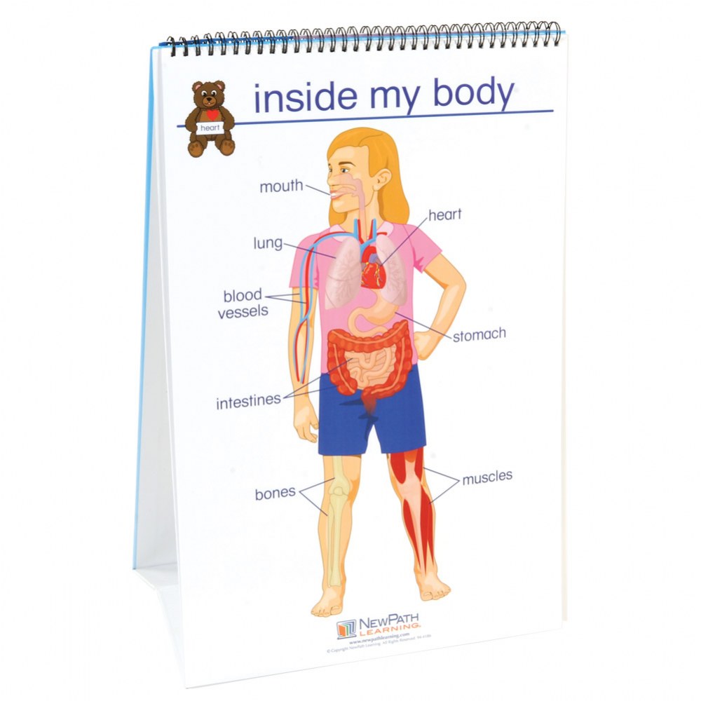 All About Me Flip Chart