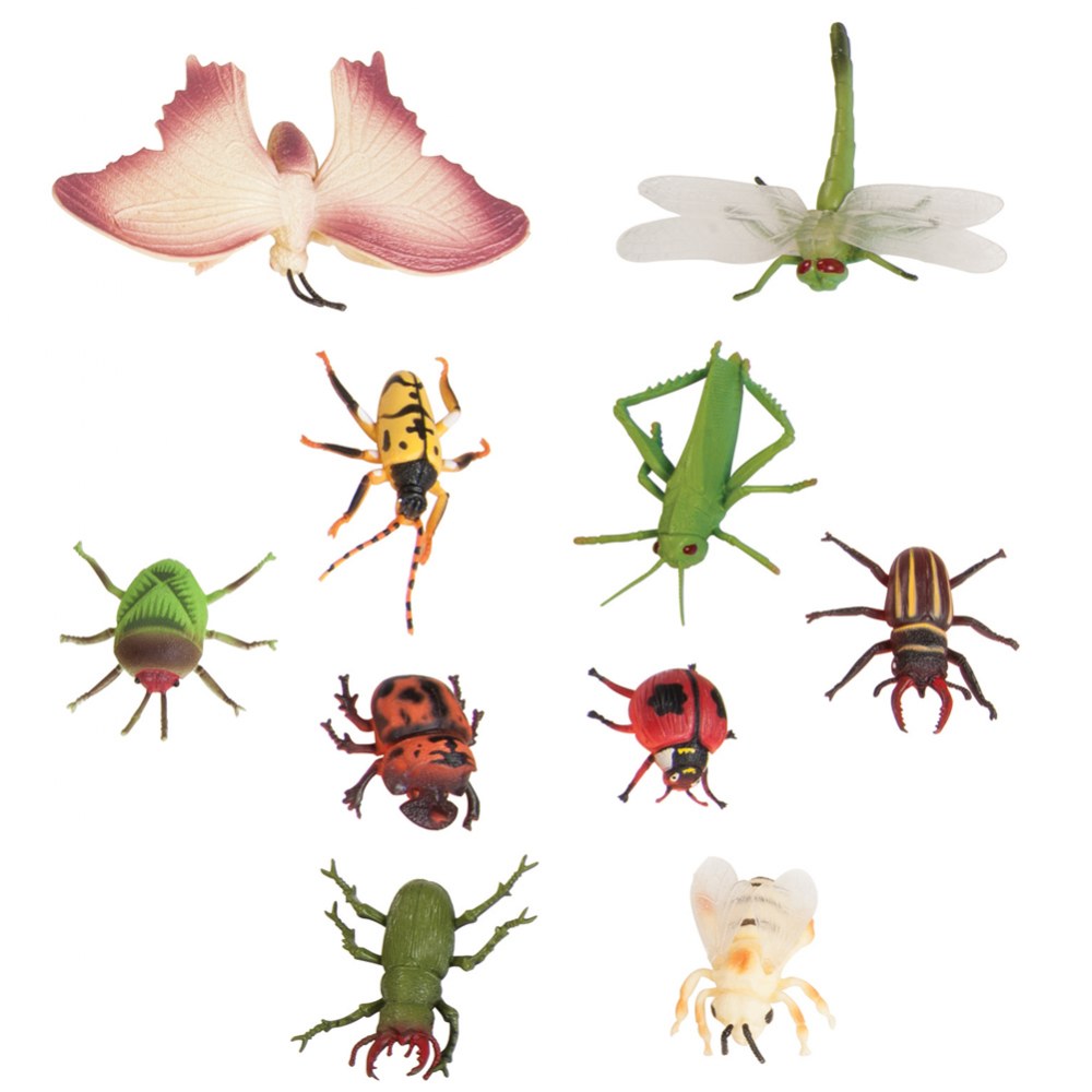 Insect Set - Set of 10