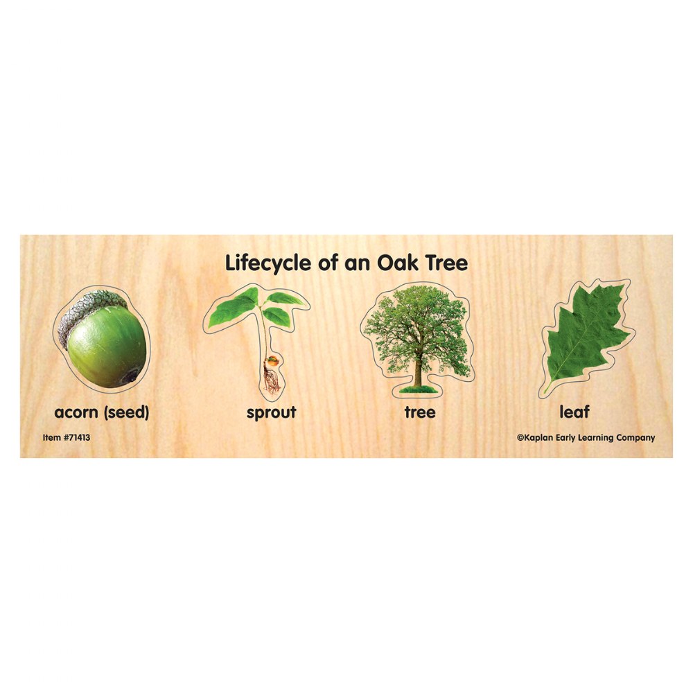 Life Cycle Puzzles - Set of 4