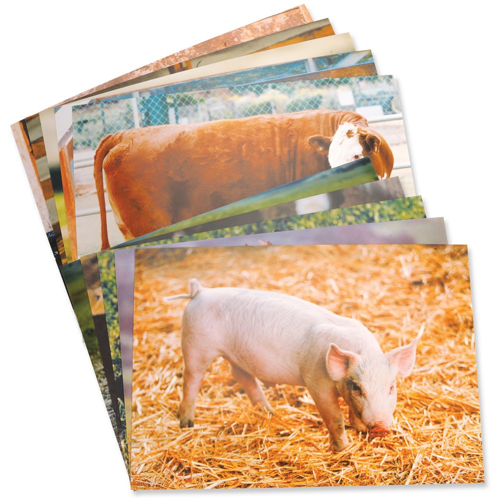 Farm Animal Posters - Set of 10