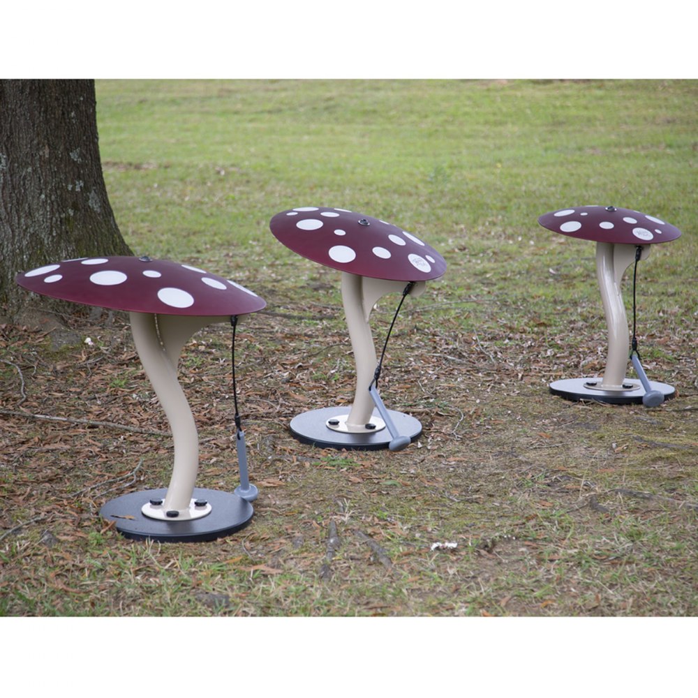 Musical Mushrooms