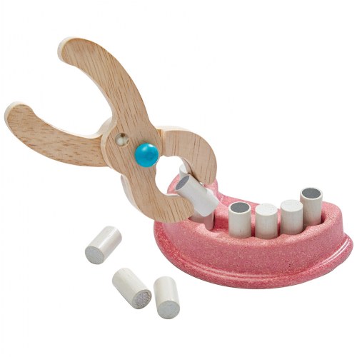 Dentist Play Set