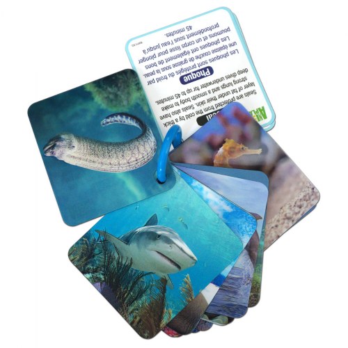 Animal Planet 3D Creatures Flash Cards Set - Set of 3