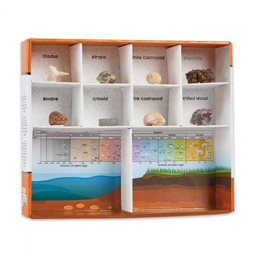 Dig & Display Fossil & World of Gemstones Dig Kits