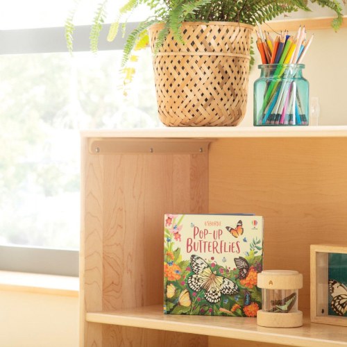 Premium Solid Maple 2-Shelf Storage - Solid Back