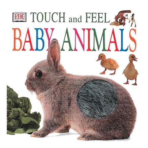 Touch and Feel Board Books - Set of 8