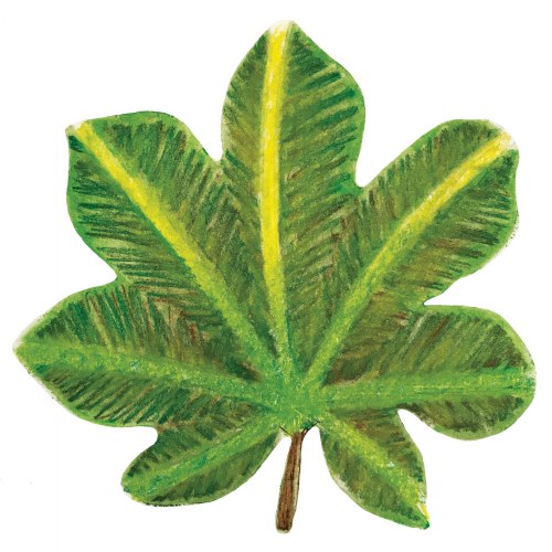 Perfect Leaf Stencil Set 8" - 12 Pieces