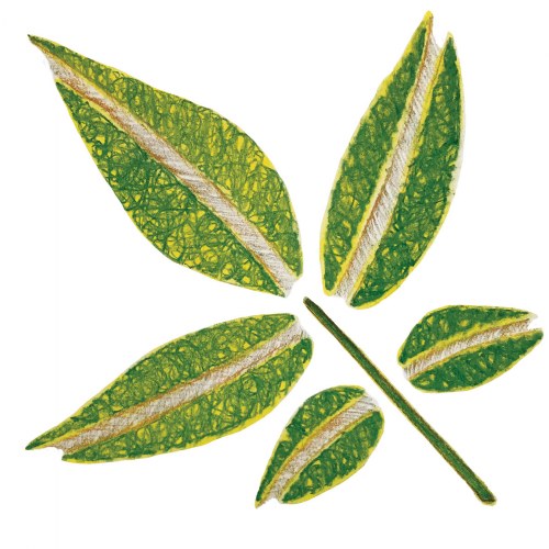 Perfect Leaf Stencil Set 8" - 12 Pieces