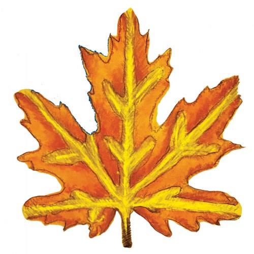 Perfect Leaf Stencil Set 8" - 12 Pieces