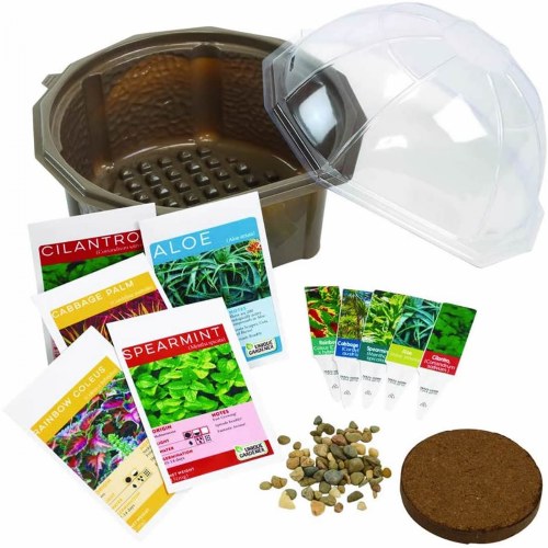 Sensory Eco-Biosphere Plant Dome with 5 Different Seeds