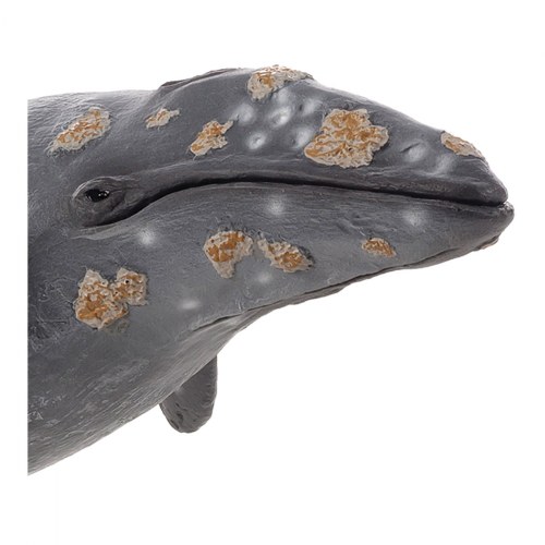 Grey Whale Realistic Figure