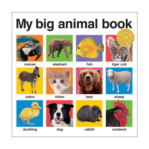 My Big Animal Book - Board Book