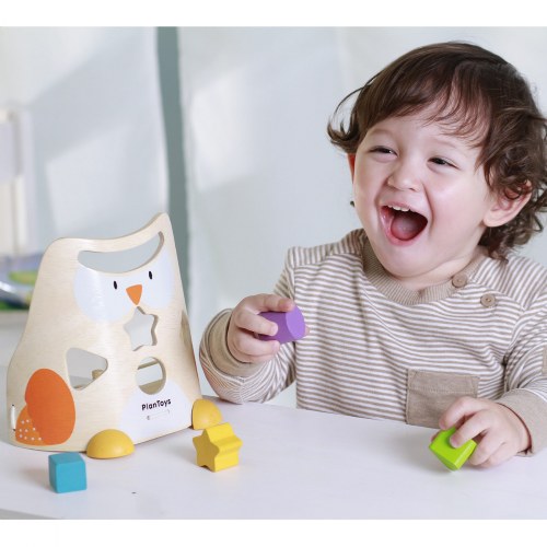 Toddler Wooden Shapes and Colors Owl Sorter