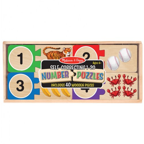 Self Correcting Number Puzzles