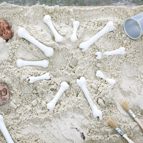 Big Bones Set - 20 Pieces