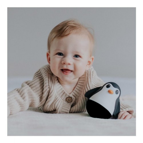 Silicone Penguin Wobble with Chimes