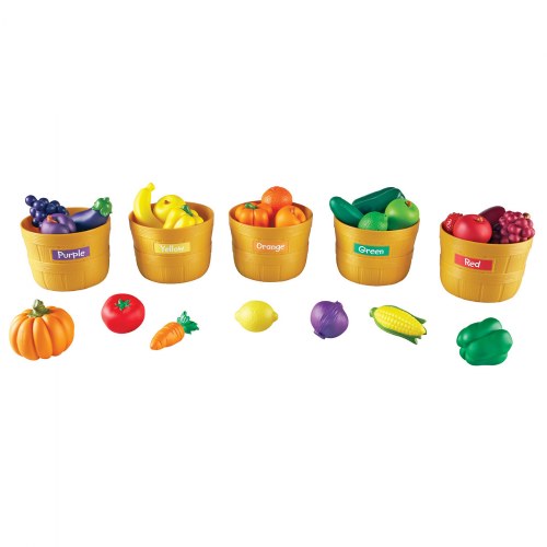 Farmer's Market Color Sorting Set