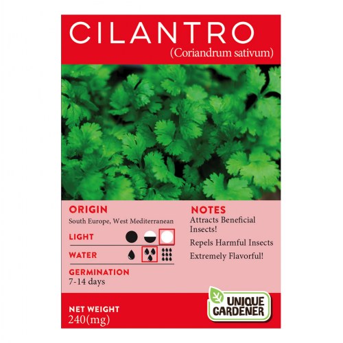 Cilantro Seeds 3-Pack