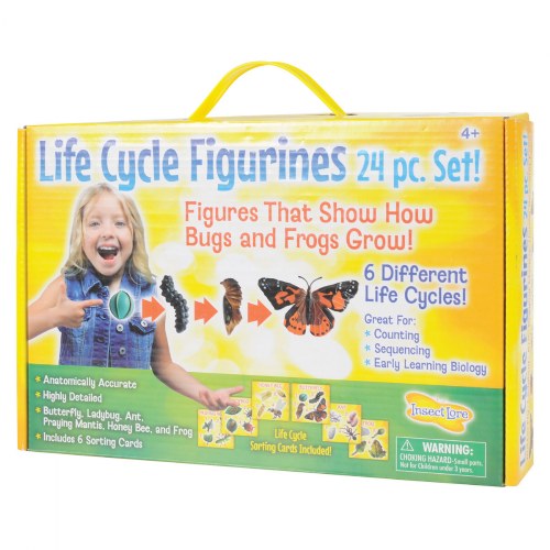 Life Cycle Figurines - 24 Pieces