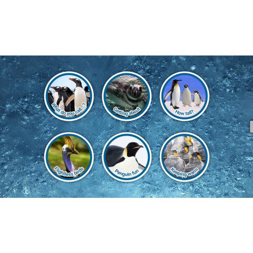 Pre-Coding with Penguins Software for Large Screens and Tablets