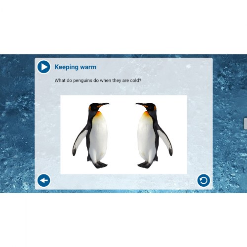 Pre-Coding with Penguins Software for Large Screens and Tablets
