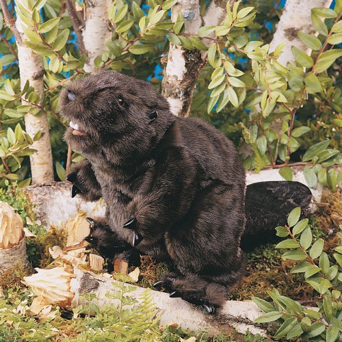 Soft Beaver Hand Puppet