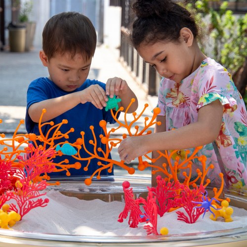 Coral Connection Set