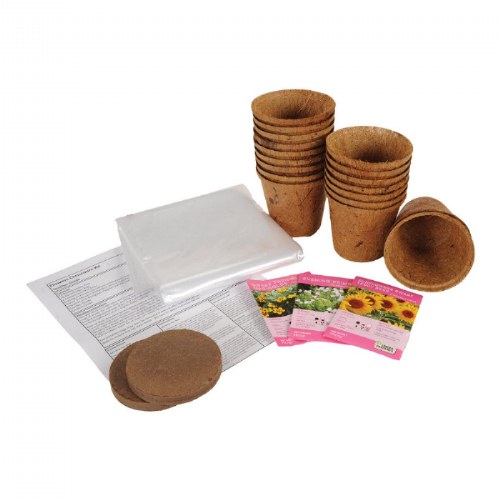 Growing Flowers and Plants Classroom Kits