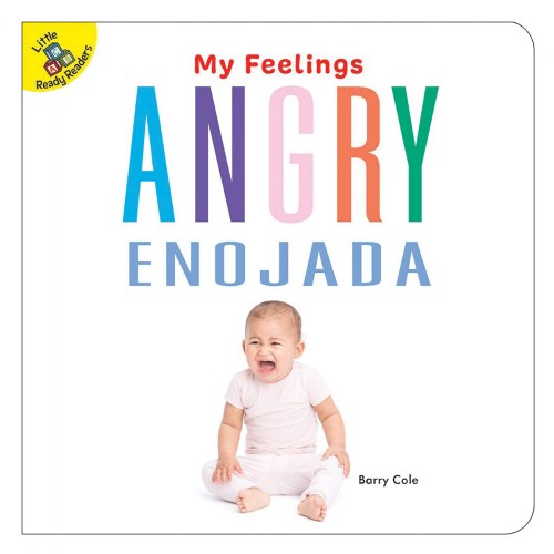 Infant/Toddler Bilingual Social Emotional Board Books - Set of 5