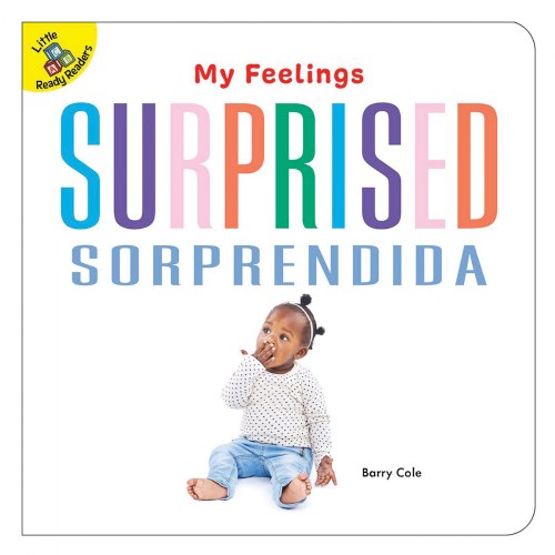 Infant/Toddler Bilingual Social Emotional Board Books - Set of 5 Infant/Toddler Bilingual Social Emotional Board Books - Set of 5