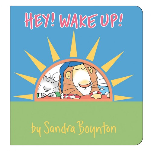 Hey! Wake Up! - Board Book