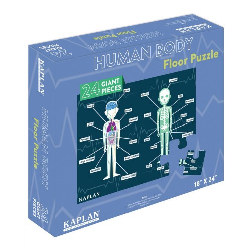 Human Body Puzzle with 24 Pieces