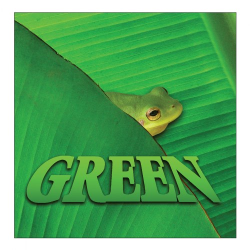 Color Books - Set of 4 Board Books