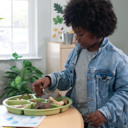 Loose Parts Sorting Trays - Set of 4 - Earth-toned