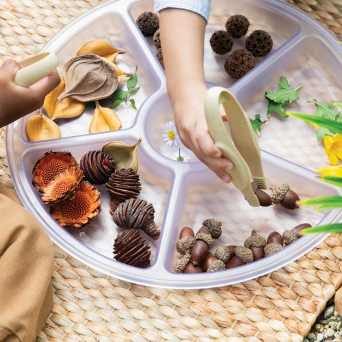 Loose Parts Sorting Trays - Set of 4 - Clear