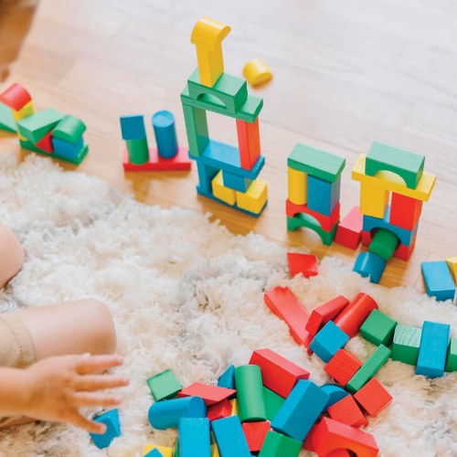 Wooden Color Blocks - 100 Pieces