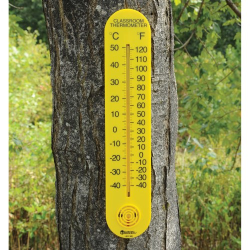 Classroom Thermometer