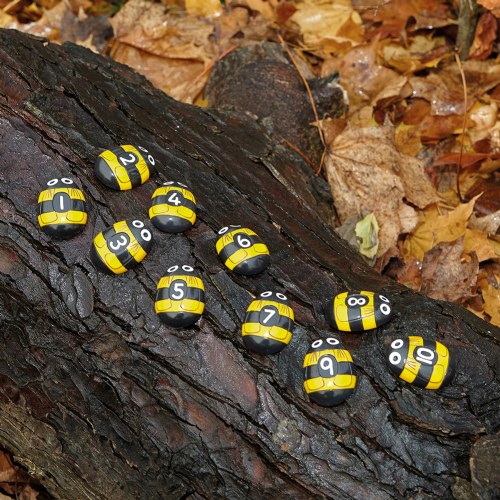 Honey Bee Stones and Activity Cards