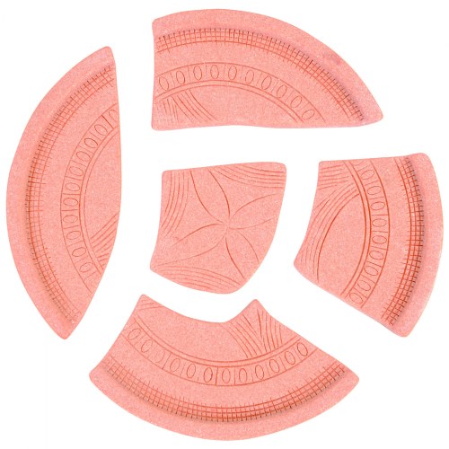 Ancient Plate and Fossils