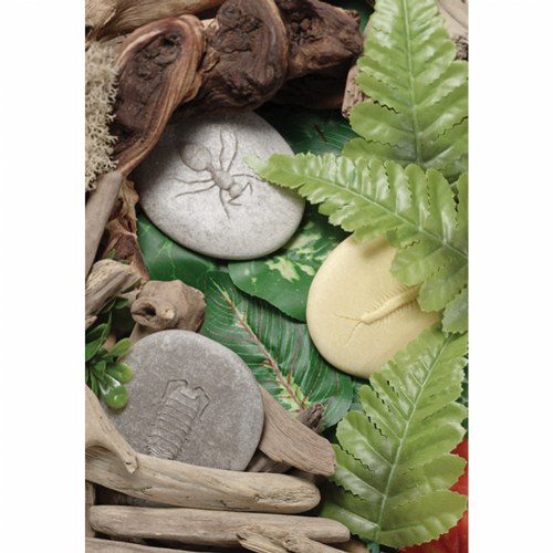 Play & Explore Bug Stones - 8 Pieces