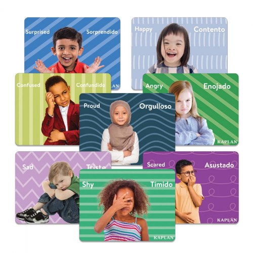 Understanding Feelings Learning Kit