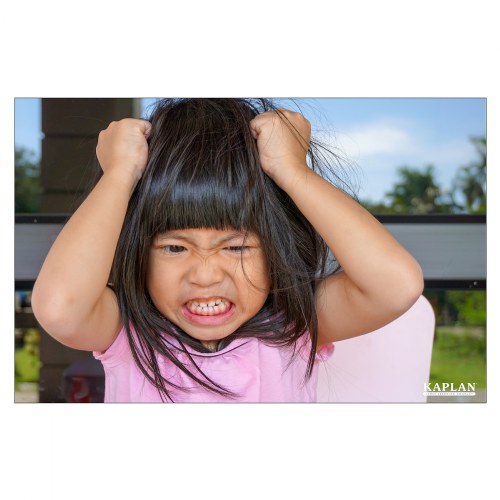 Social and Emotional High Quality Classroom Poster Set - Set of 12