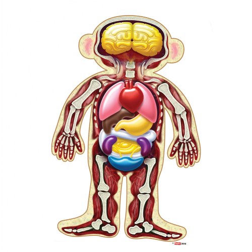 First Look: Inside Me