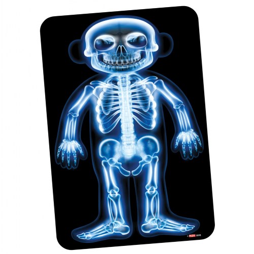 First Look: Inside Me