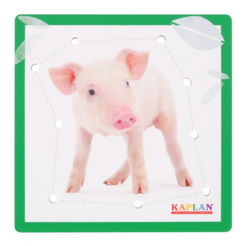 Kaplan Animal Lacing Boards