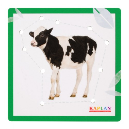 Kaplan Animal Lacing Boards