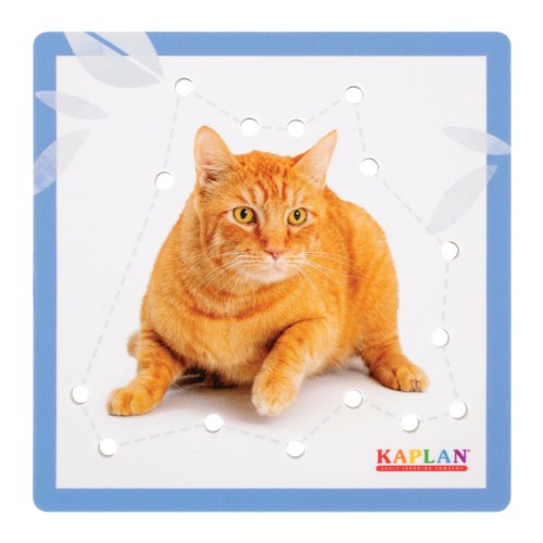 Kaplan Animal Lacing Boards